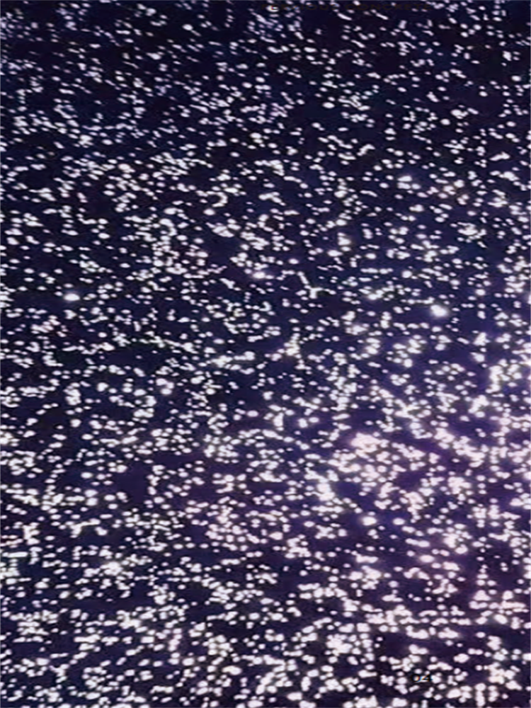 LiTraCon – Sun & Associates